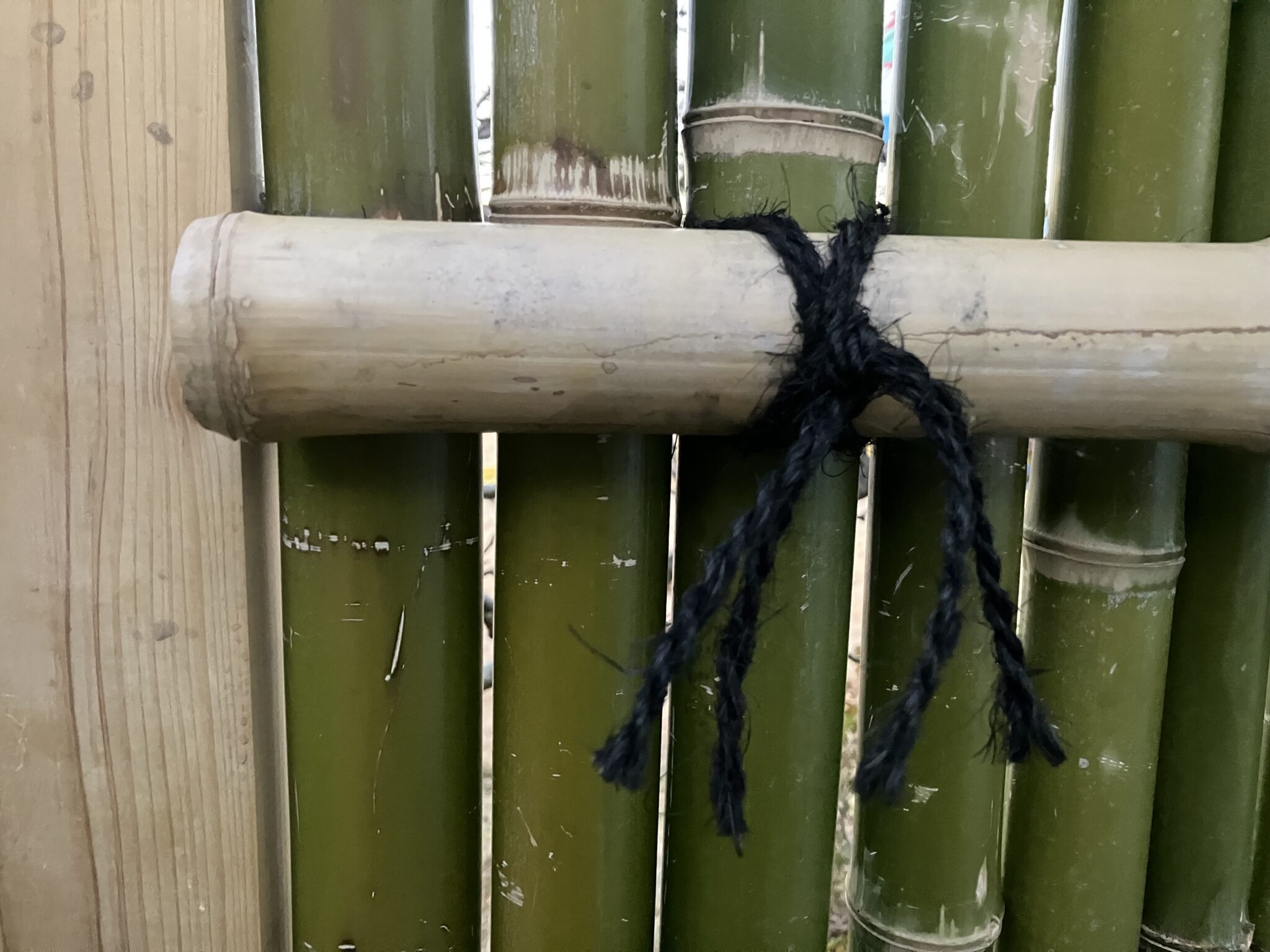 夏休みにDIYで外構のフェンスを交換 ⑤格子の建込作業 | 市川市の工務店DAISHU｜二世帯住宅もお任せください｜自然素材・高耐震・高断熱の注文住宅