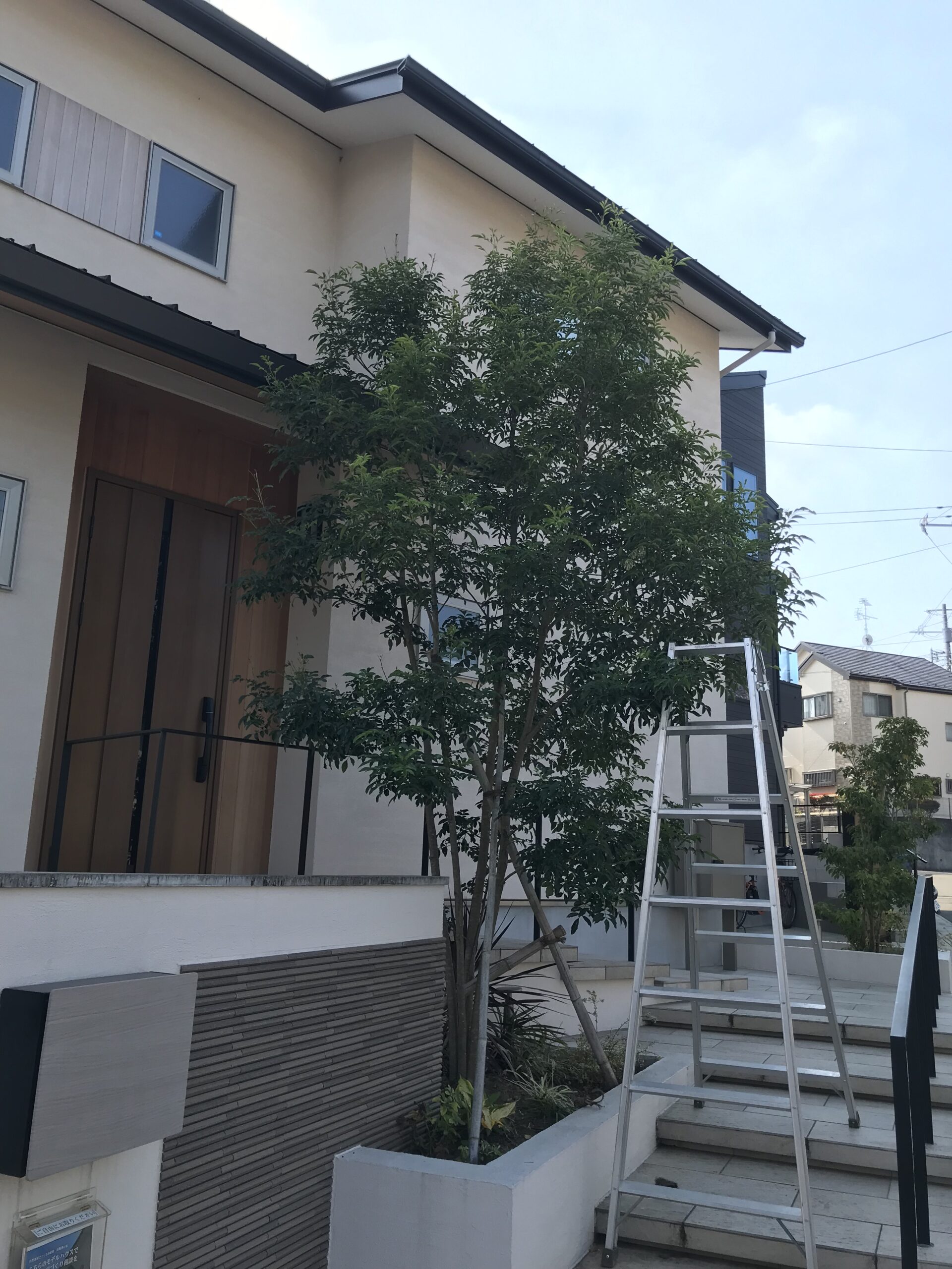 冬支度の剪定 | 市川市の工務店DAISHU｜二世帯住宅もお任せください｜自然素材・高耐震・高断熱の注文住宅