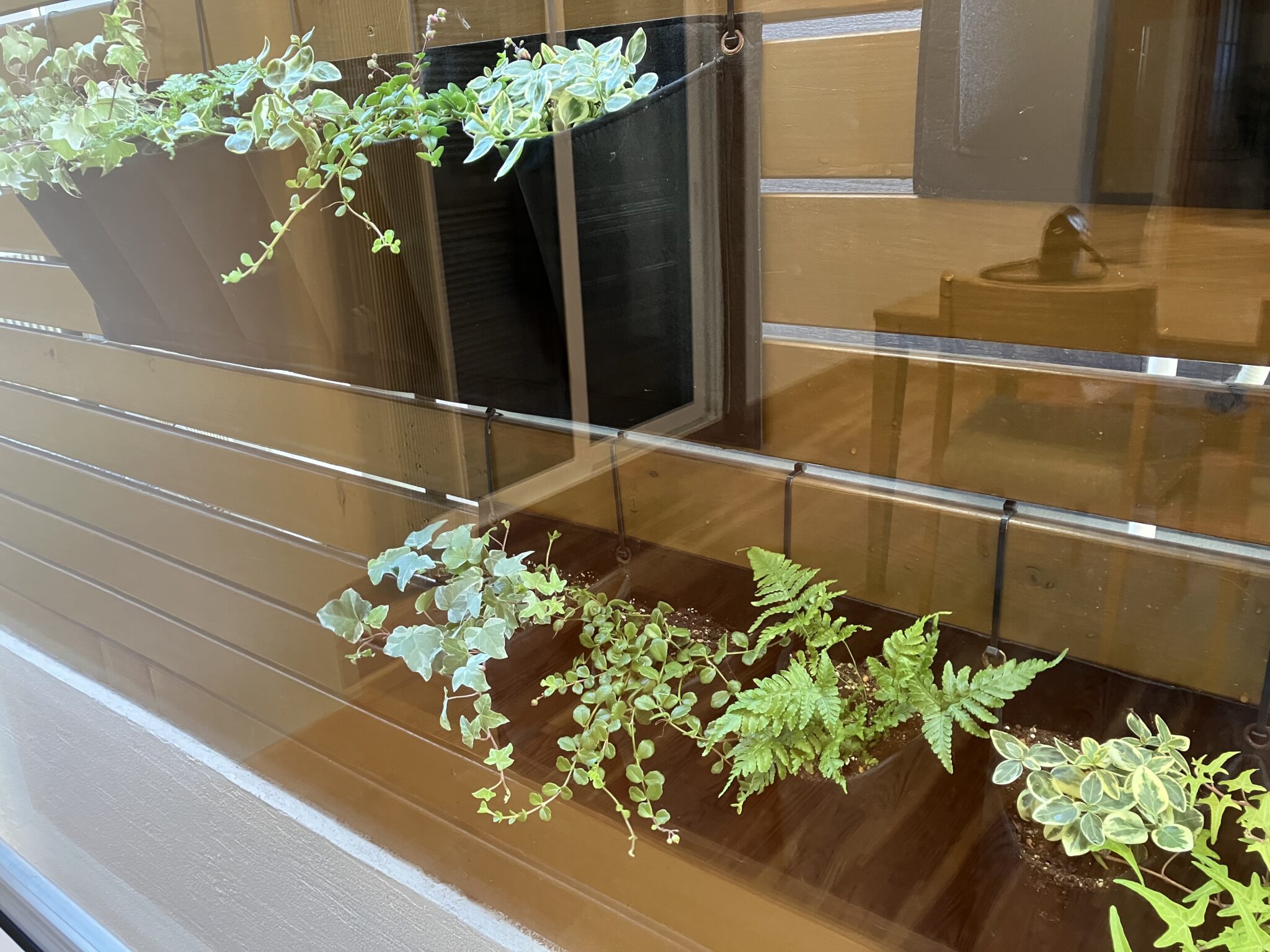 癒しの自然色 | 市川市の工務店DAISHU｜二世帯住宅もお任せください｜自然素材・高耐震・高断熱の注文住宅